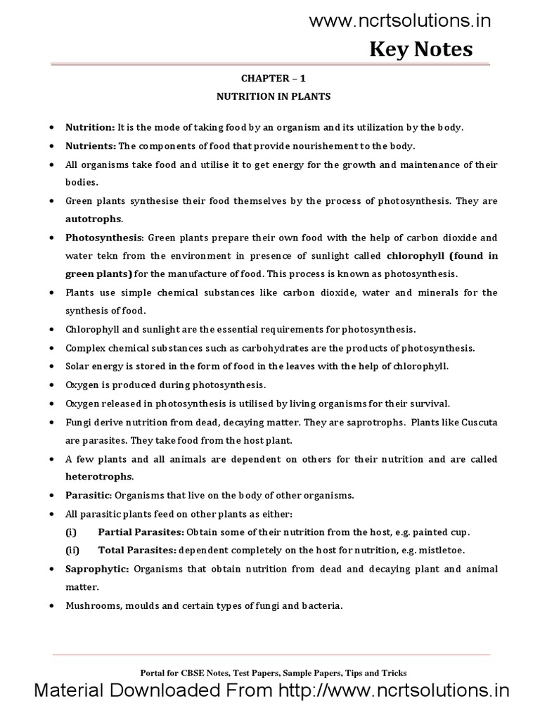 07 Science Key Notes ch01 Nutrition in Plants | PDF | Plants | Nutrition