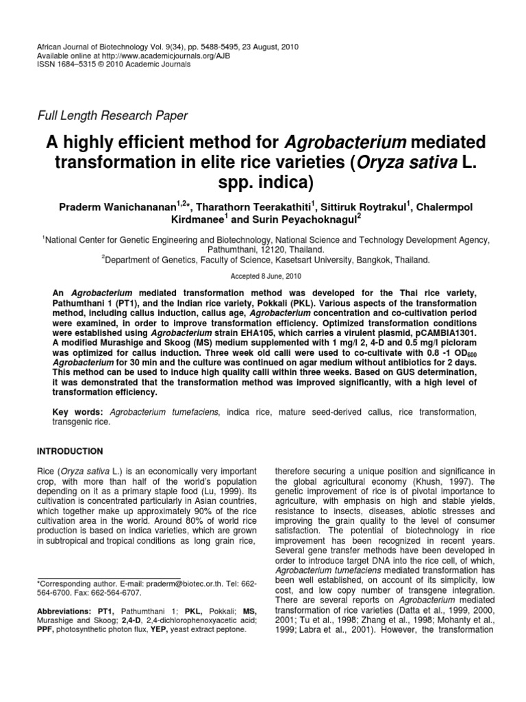 A Highly Efficient Method For Transformation in Elite Rice Varieties ...