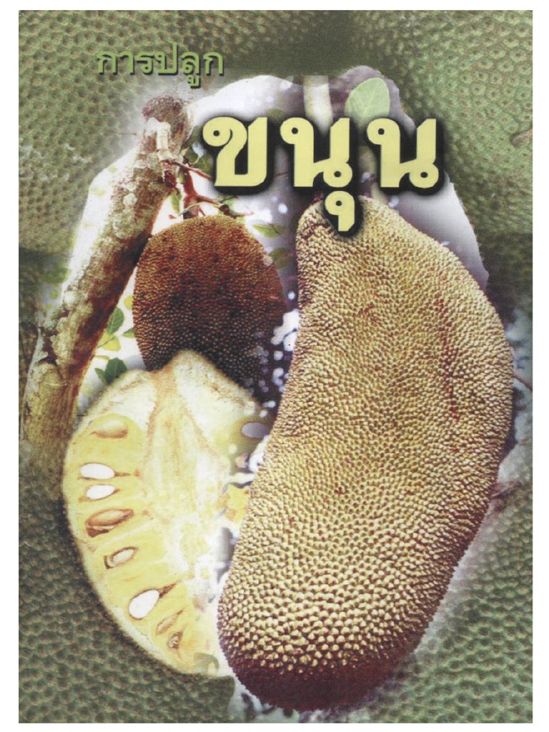 Ka Nun 2 Pdf