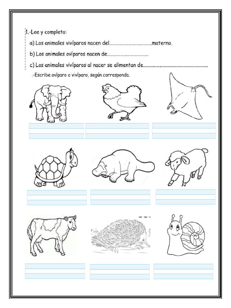 Ficha de Trabajo - Animales Según Su Reproducción | PDF