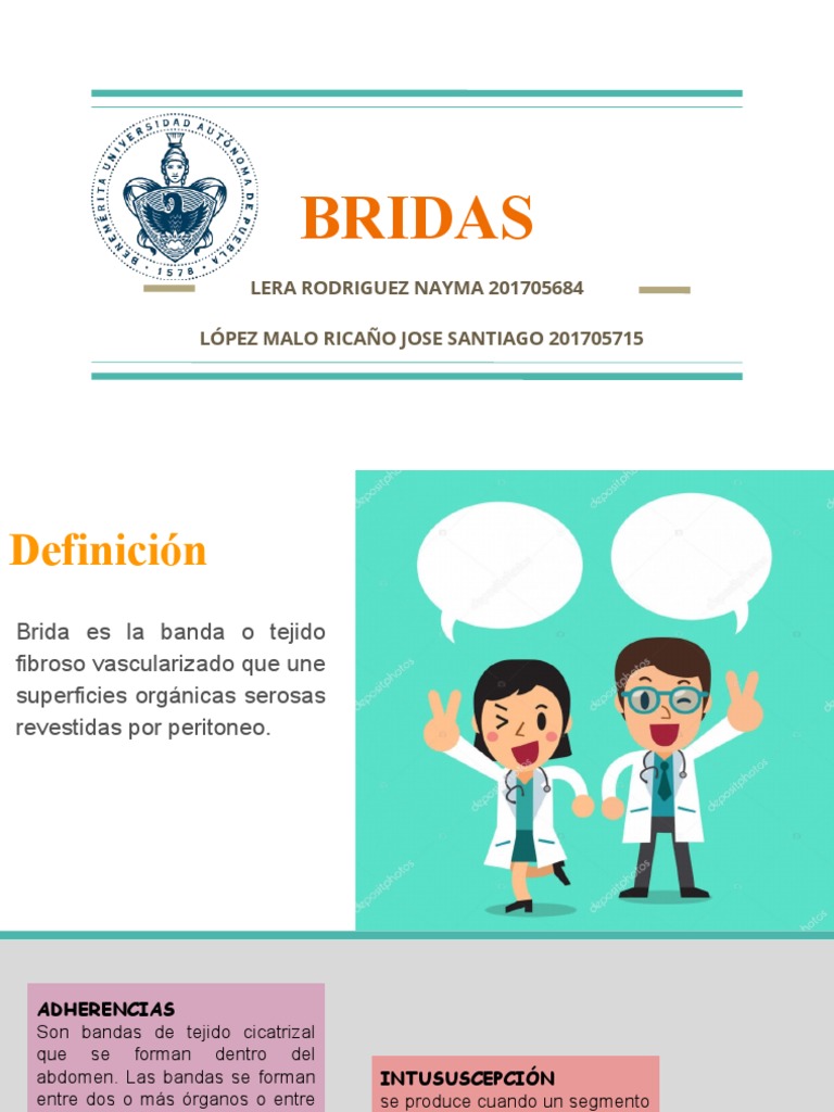 Bridas | PDF | Estómago | Abdomen