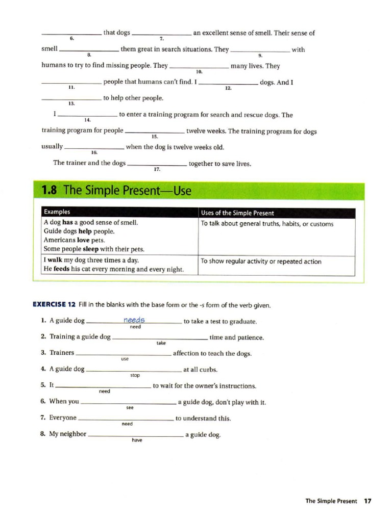 Sandra N. Elbaum - Grammar in Context PG 33 | PDF