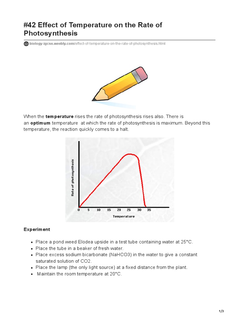 Temperature Effects on Photosynthesis Rate | PDF