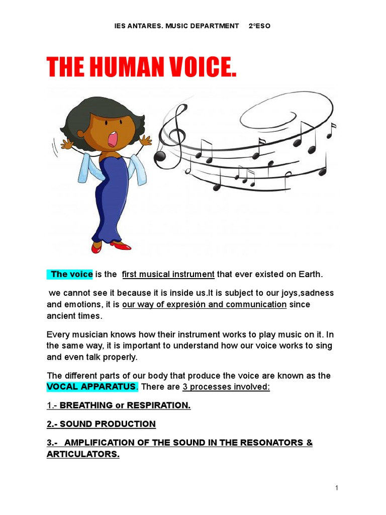 T 3 The Human Voice Pdf Singing Breathing