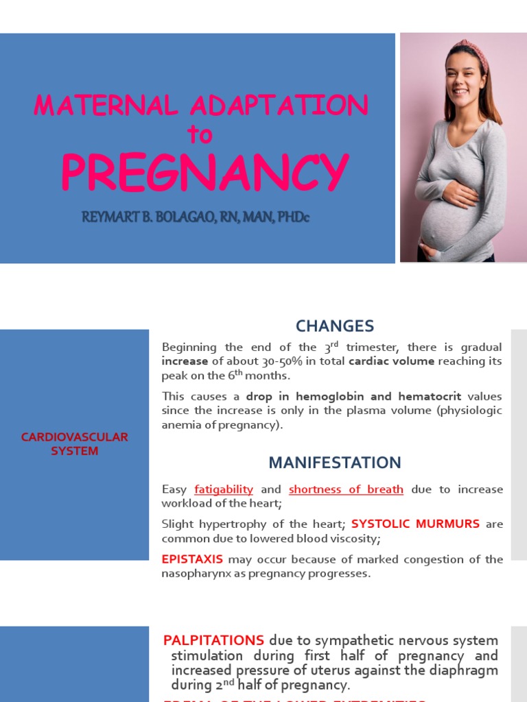 Maternal Adaptation During Pregnancy | PDF | Pregnancy | Vomiting