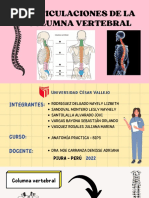 Articulaciones y Ligamentos de La Columna Vertebral | PDF