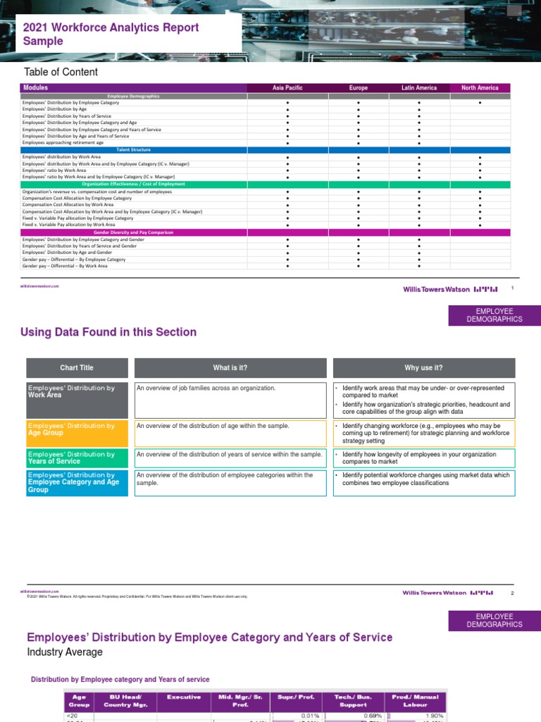 Workforce Analytics Report (Sample) 20 Jan | PDF | Business | Employment