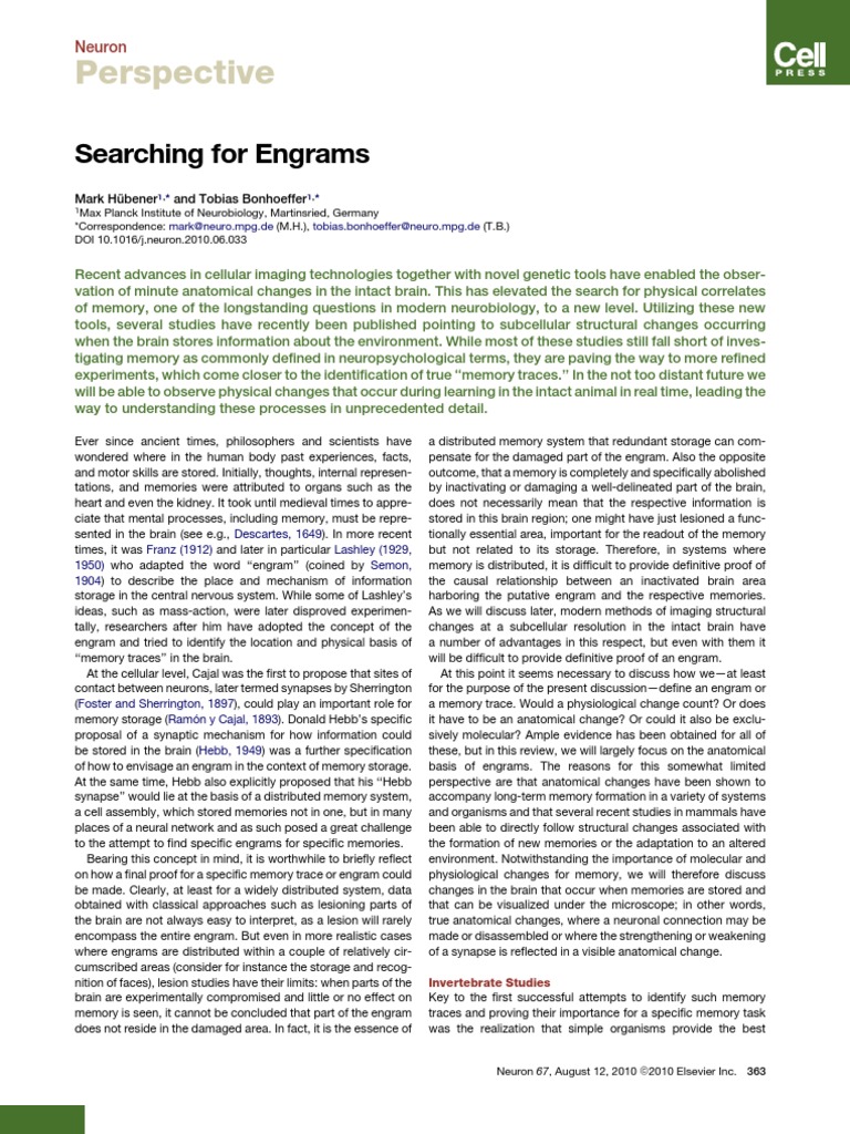 Searching For Engrams | PDF | Memory | Hippocampus