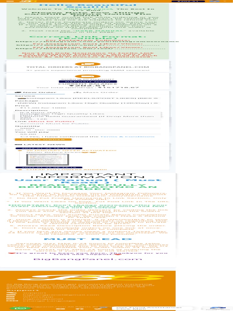 Big Bang Panel New Order Pdf Information Technology World Wide Web