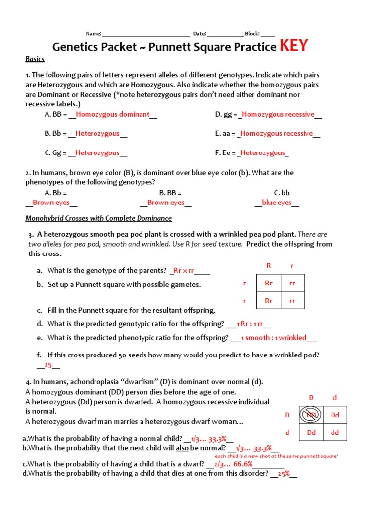 Answer Key Genetic Packet Pdf Dominance Genetics Genotype 