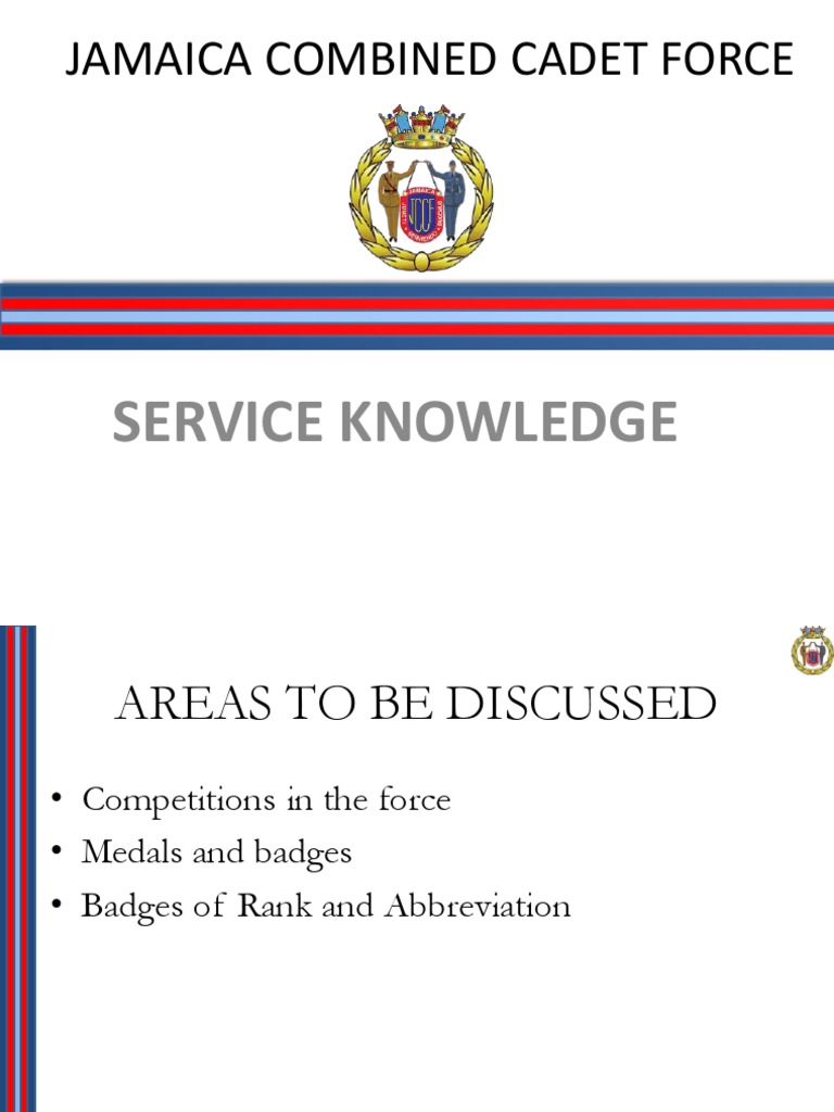 JCCF Ranks and Badges Overview | PDF | Military Rank | Officer (Armed ...