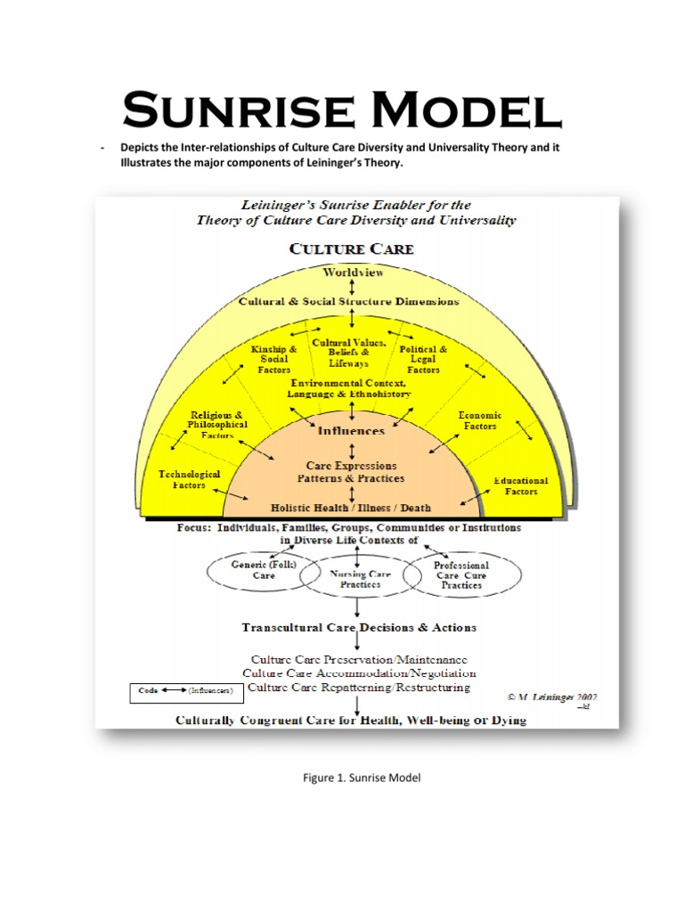 Sunrise Model | PDF | Social Structure | Health Care