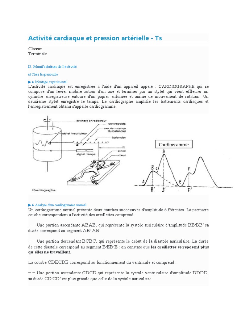 Activité cardiaque et pression artérielle | PDF | Hypertension ...