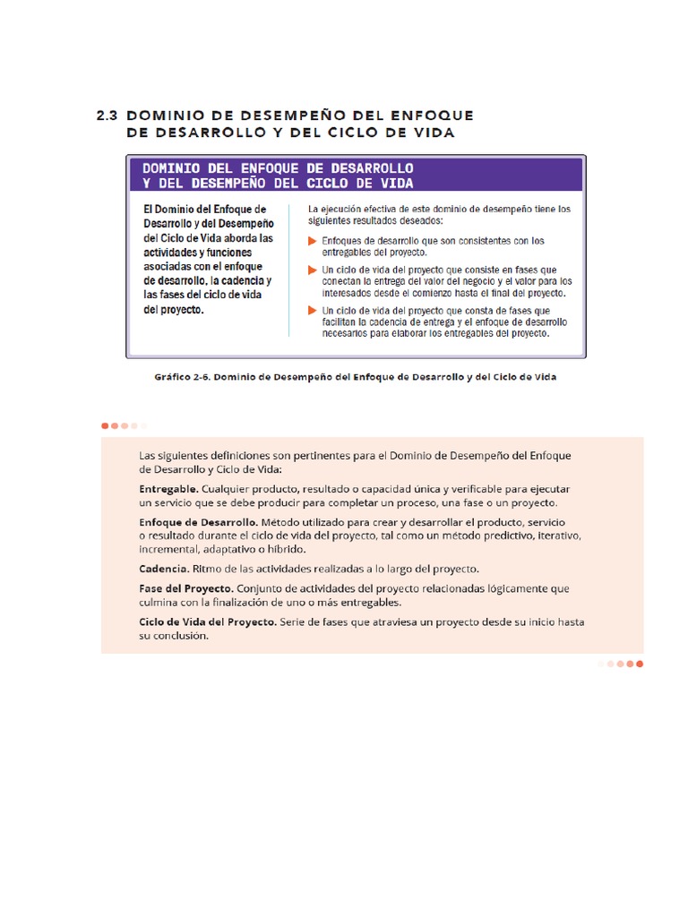 3-Dominio de Desempeño Del Enfoque de Desarrollo y Ciclo de Vida | PDF