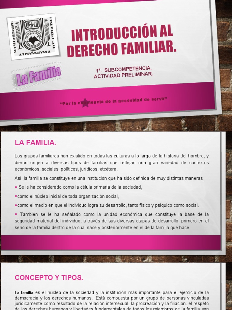 DIAPOSITIVAS Familia Nuevas | PDF | Familia | Constitución