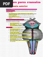 Digestión: Bolo, Quimo y Quilo | PDF | Digestión | Tracto gastrointestinal