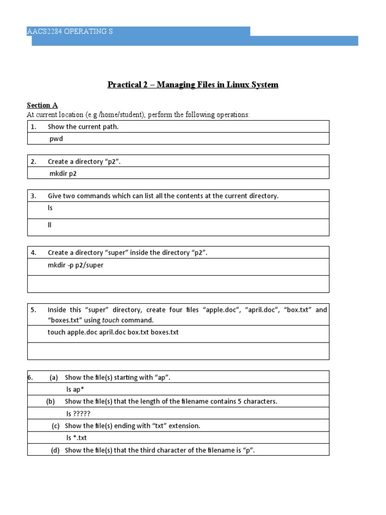 Practical 2 For AACS2284 | PDF | Computer File | Filename