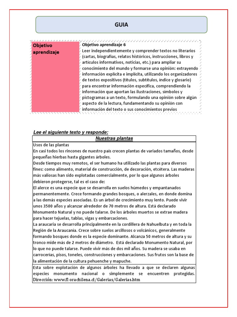 Guia LENGUAJE 3° OA6-12 FINAL | PDF | Arboles