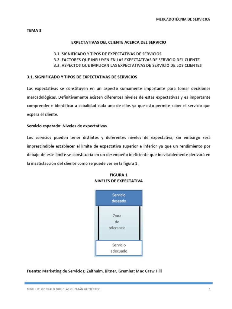 Tema 3 Expectativas Del Cliente Acerca Del Servicio | PDF | Marketing | Cliente
