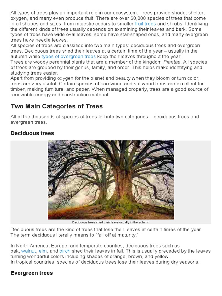 All Types Of Trees Play An Important Role In Our Ecosystem Pdf Fir