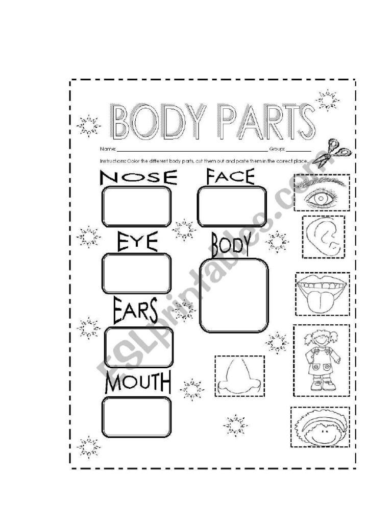 Body Parts Kinder 2 | PDF