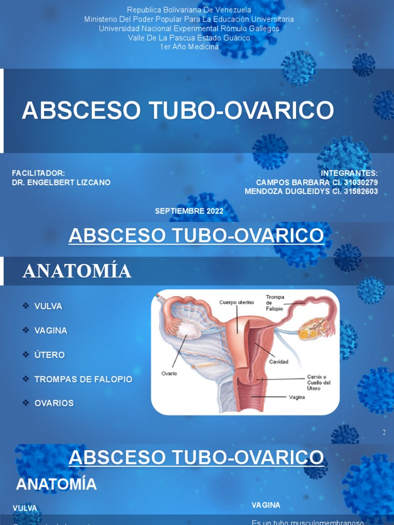 ABSCESO TUBO-OVARICO [Autoguardado] | PDF | Vagina | Ovario