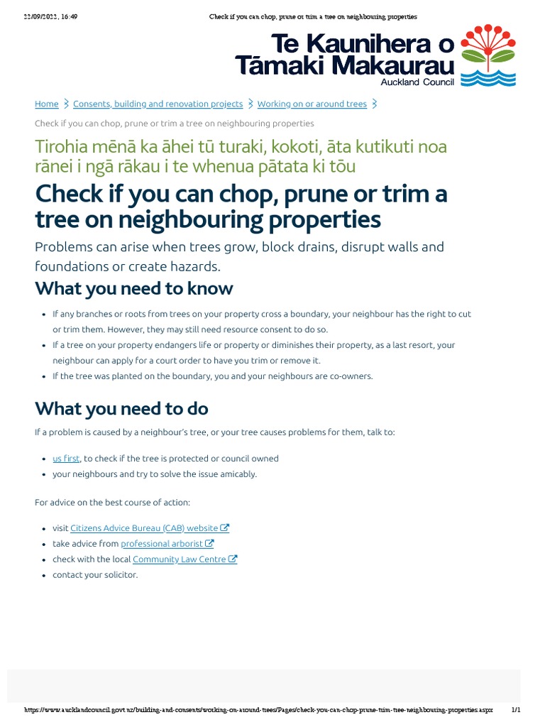 Pruning Tree Regulations | PDF