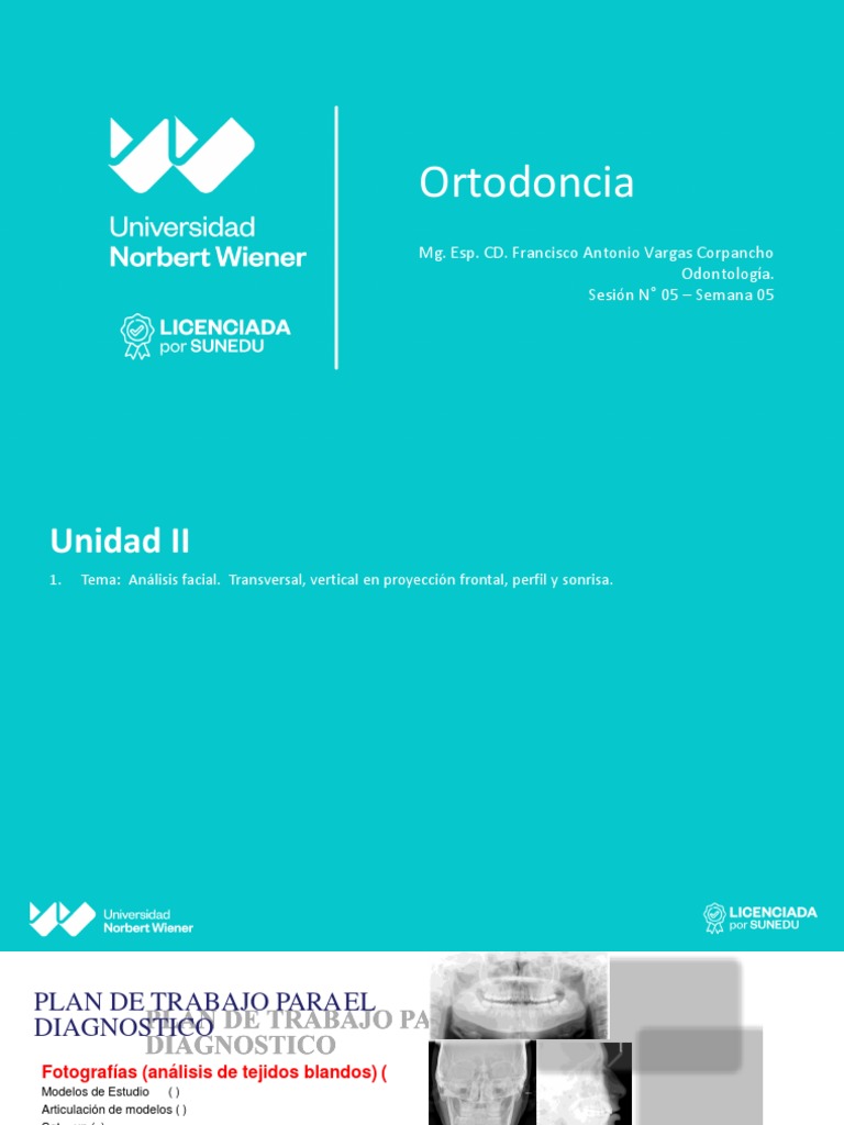 Análisis Facial Pdf Ortodoncia Cara