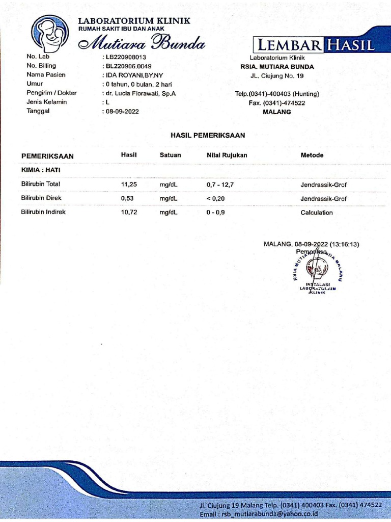 Hasil Bilirubin | PDF