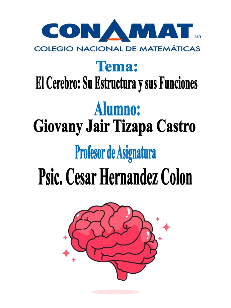 El Cerebro Su Estructura Y Sus Funciones Pdf Cerebro Hemisferio