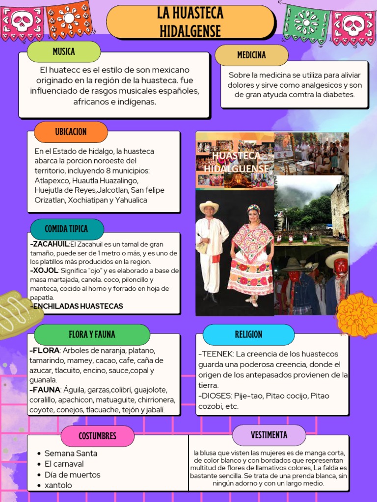 La Huasteca Hidalgense | PDF