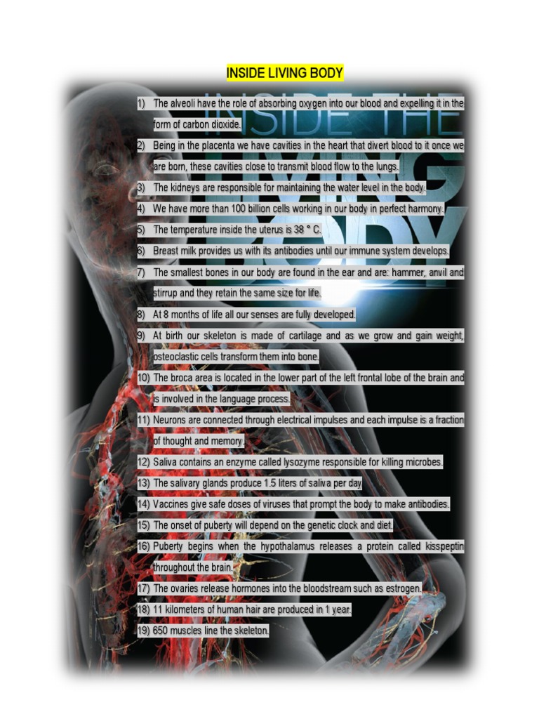 Inside The Living Body Facts | The Human Body: Anatomy, Facts ...