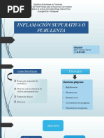 Semana 4 Infecciones Pulmonares Dra Pierucci | PDF | Neumonía | Tuberculosis