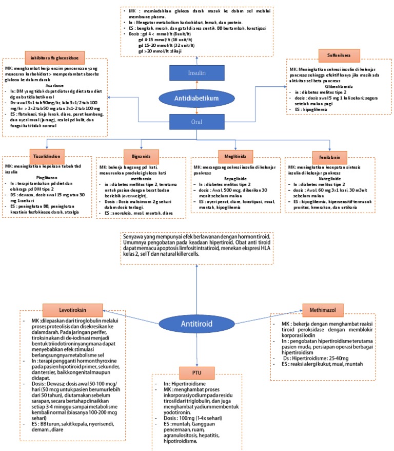 Mind Map Hormon Pankreas Dan Tiroid - Melinda Wulan - 2A Farmasi | PDF
