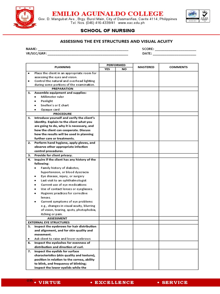 Assessing The Eye Structures and Visual Acuity | PDF | Human Eye | Eye