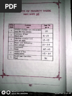 EVS Project Class 12 | PDF | Data | Science
