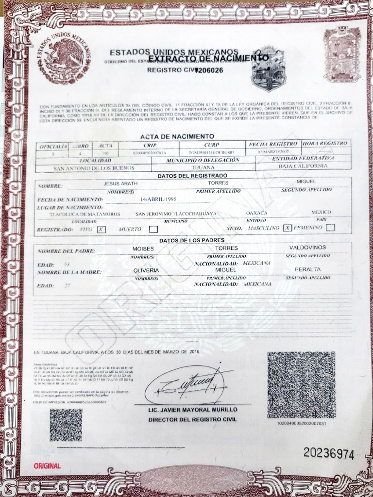 Jesus Arath | PDF | Gobierno y personalidad | Instituciones sociales