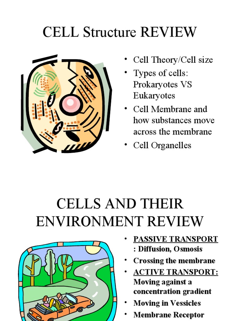 Cell Structure Notes | PDF | Cell (Biology) | Biophysics