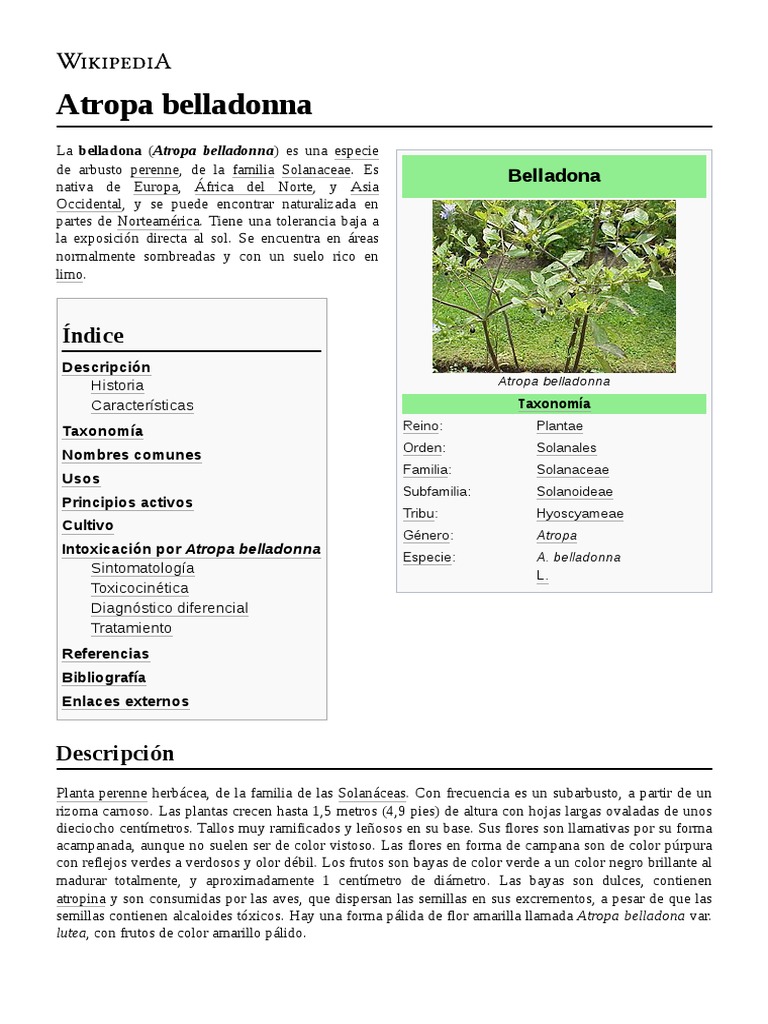 Atropa Belladonna | PDF