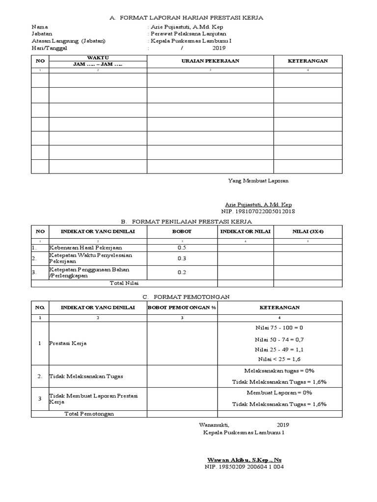 Format Laporan TPP | PDF