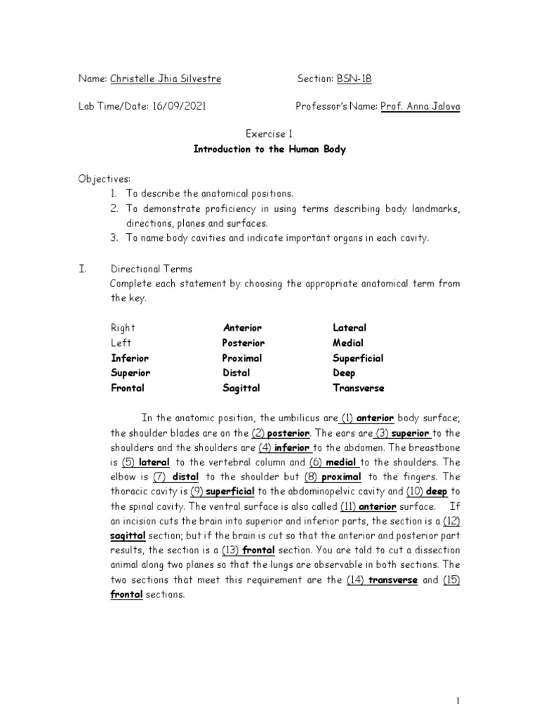 AnaPhy-lab Exercise1 | PDF | Anatomical Terms Of Location | Abdomen