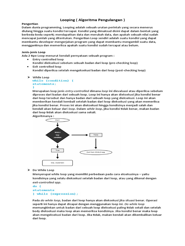 Operasi Sistem Looping | PDF
