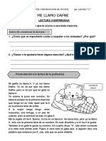 Cuento Con La Letra R | PDF