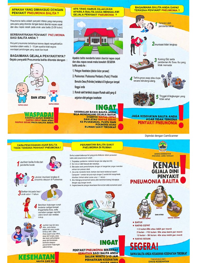 Leaflet Pneumonia Balita | PDF