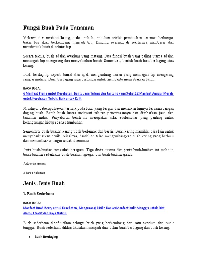 Fungsi Buah Pada Tanaman | PDF