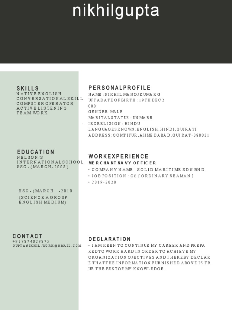 Nikhil CV | PDF | Social Science