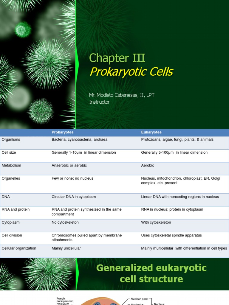MicroPara 03 - Prokaryotic Cells | PDF | Cell (Biology) | Bacteria