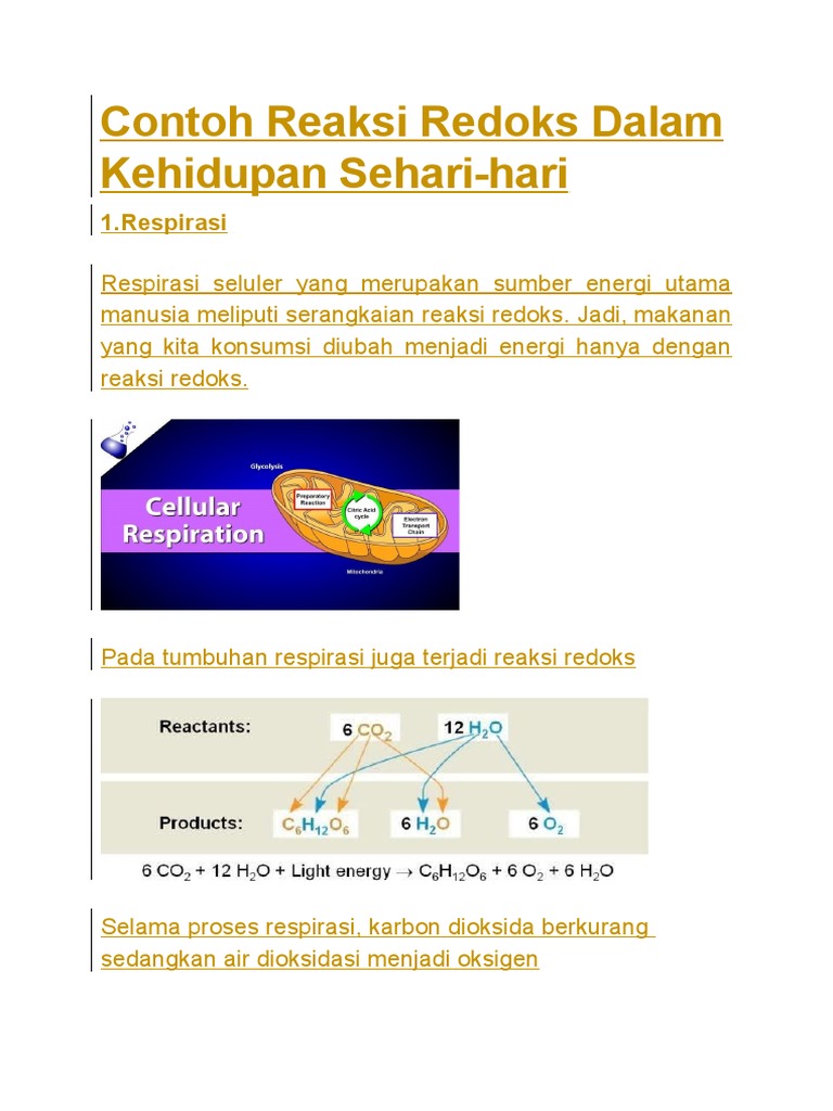 Contoh Reaksi Redoks Dalam Kehidupan Sehari | PDF