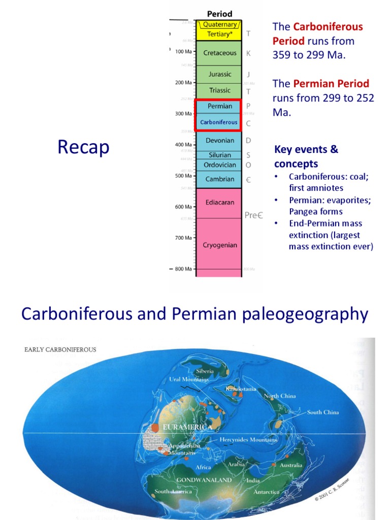 Maddin Lecture 10B P-T Extinction | PDF | Carbon Dioxide | Ocean ... Maddin Lecture 10B P-T Extinction | PDF | Carbon Dioxide | Ocean ...