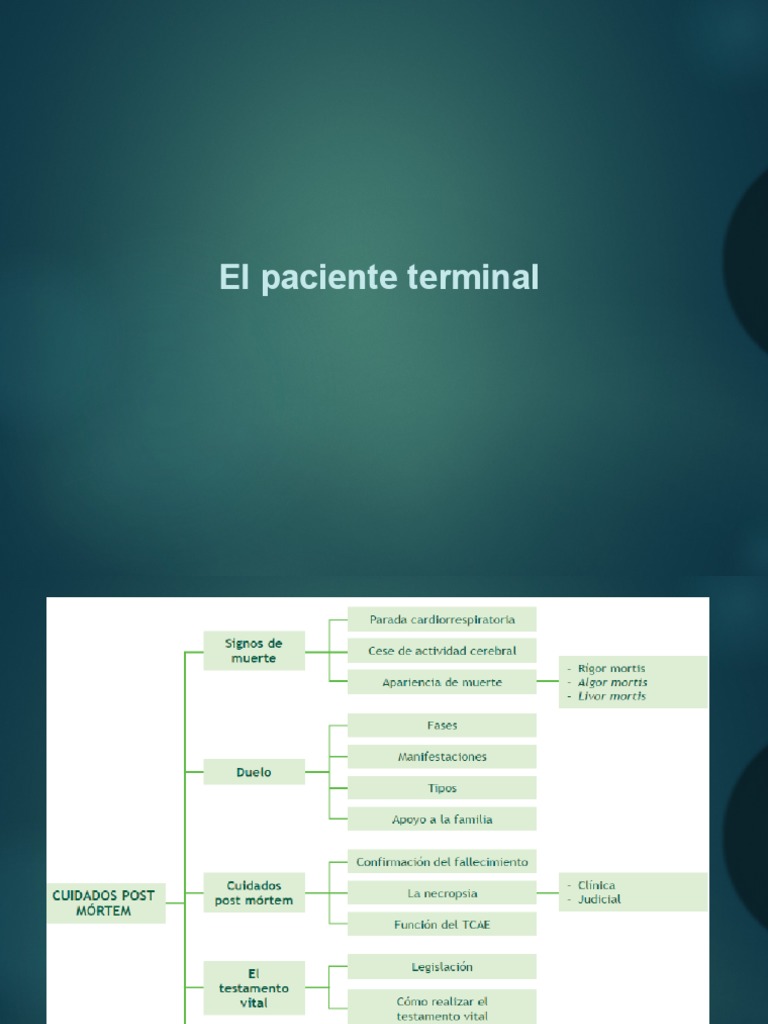Esquema Pac Terminal | PDF | Enfermedad terminal | Dolor